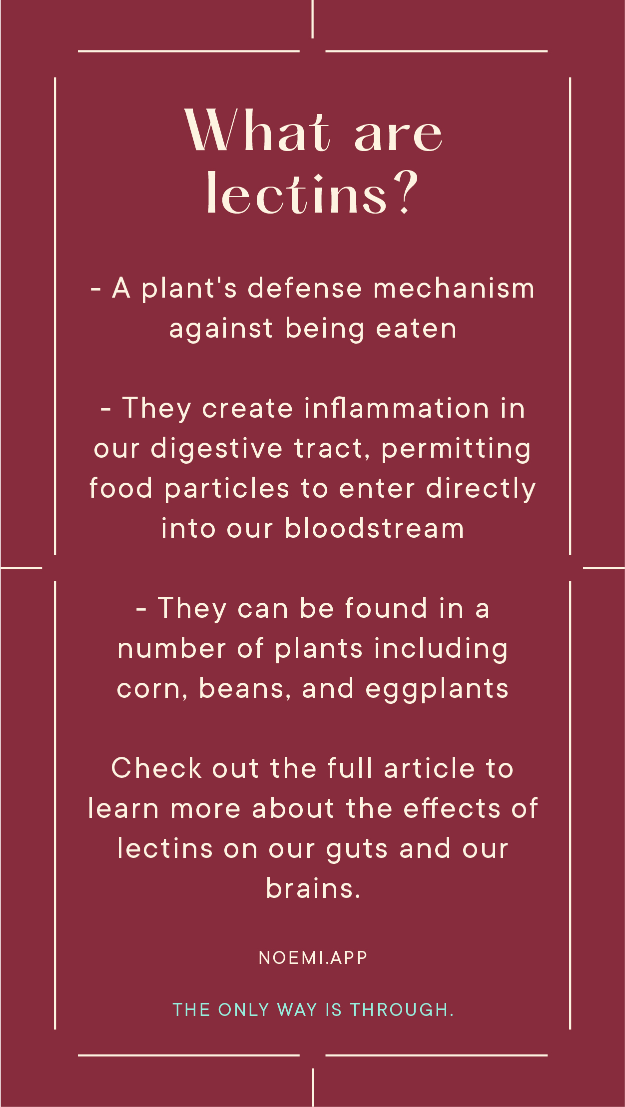 Everything You Need to Know About Lectins and Leaky Gut →