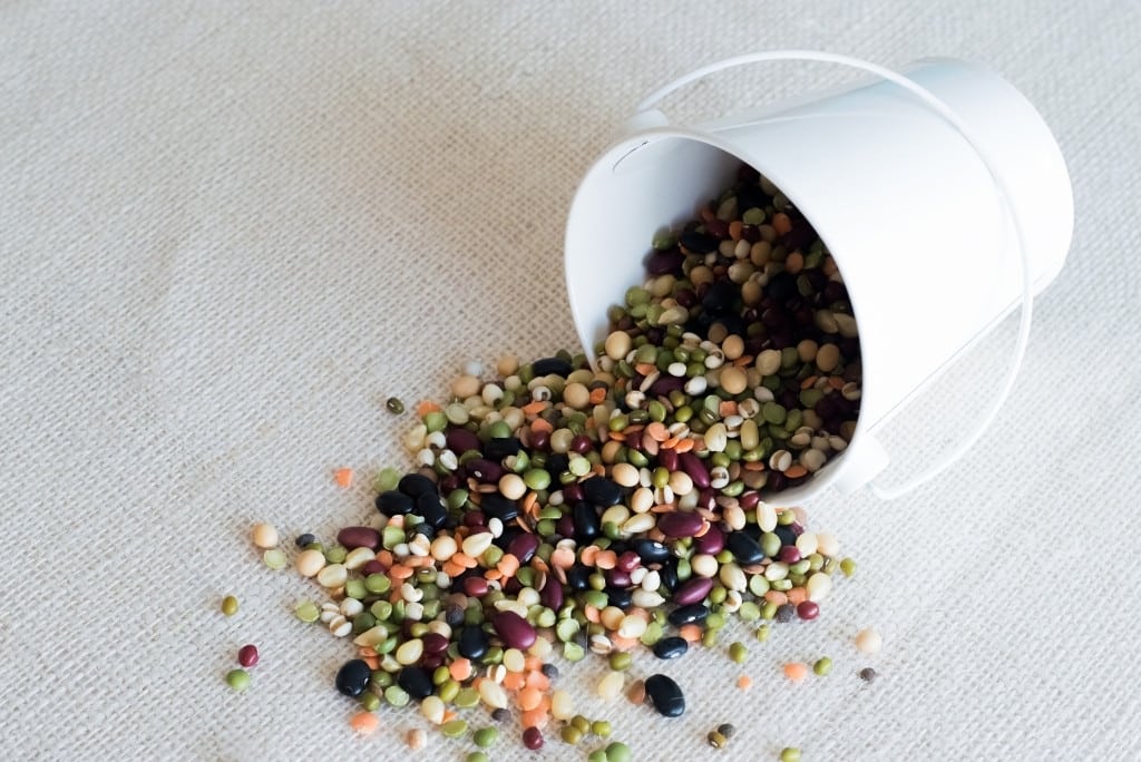 Everything You Need to Know About Lectins and Leaky Gut →